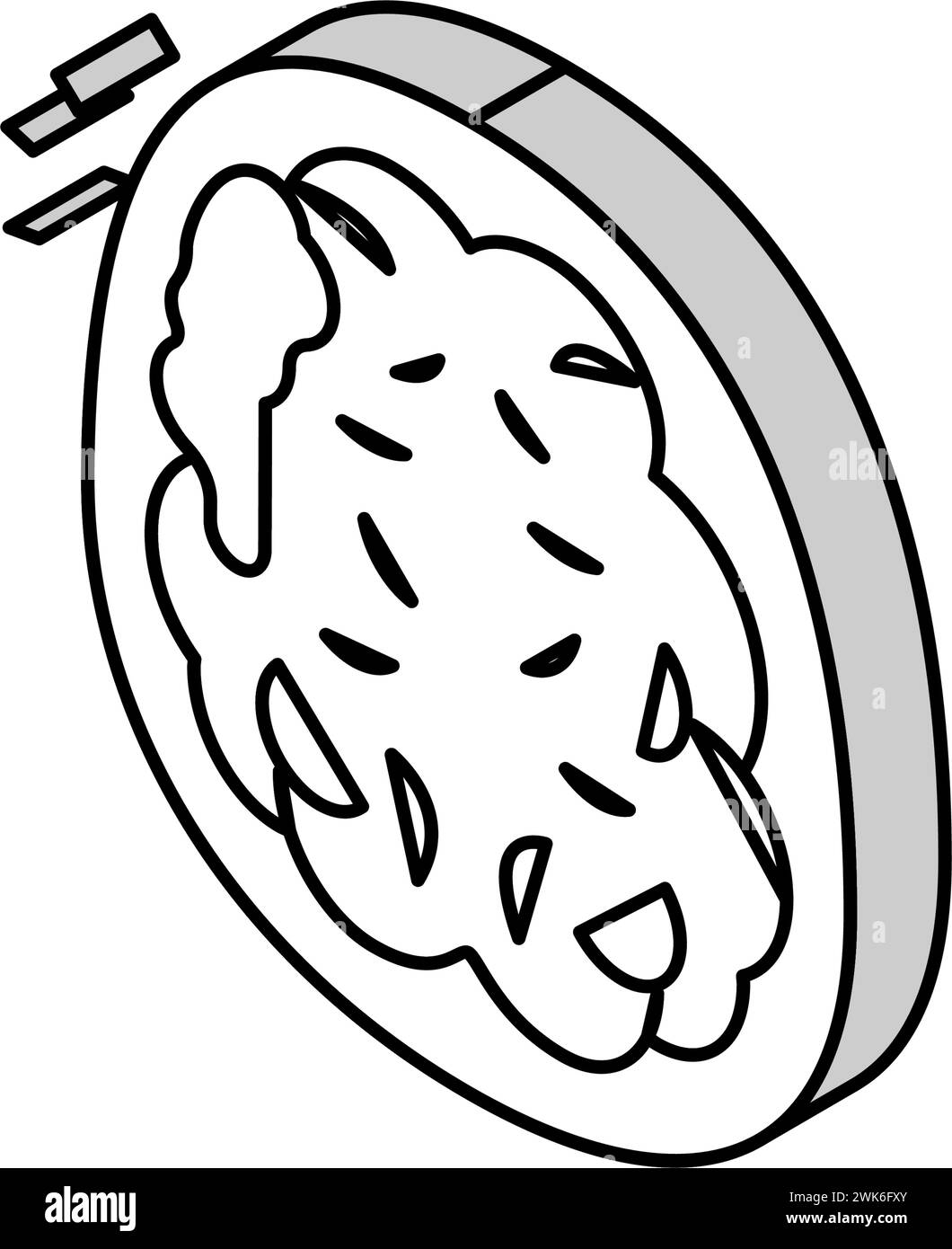 human brain x-ray isometric icon vector illustration Stock Vector Image ...