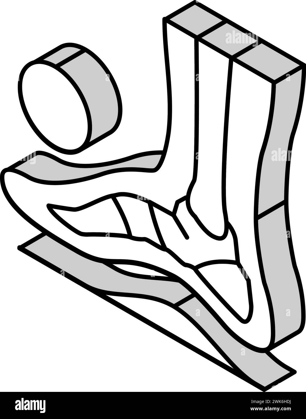 bone postural deformity feet isometric icon vector illustration Stock ...