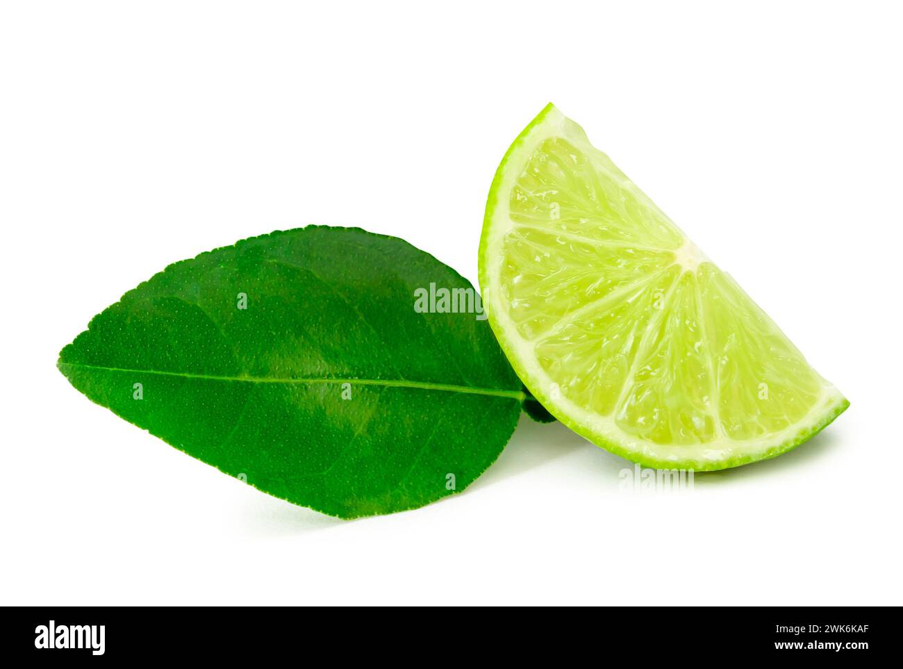 Front view of green lemon slice or quarter with leaf is isolated on white background with ...
