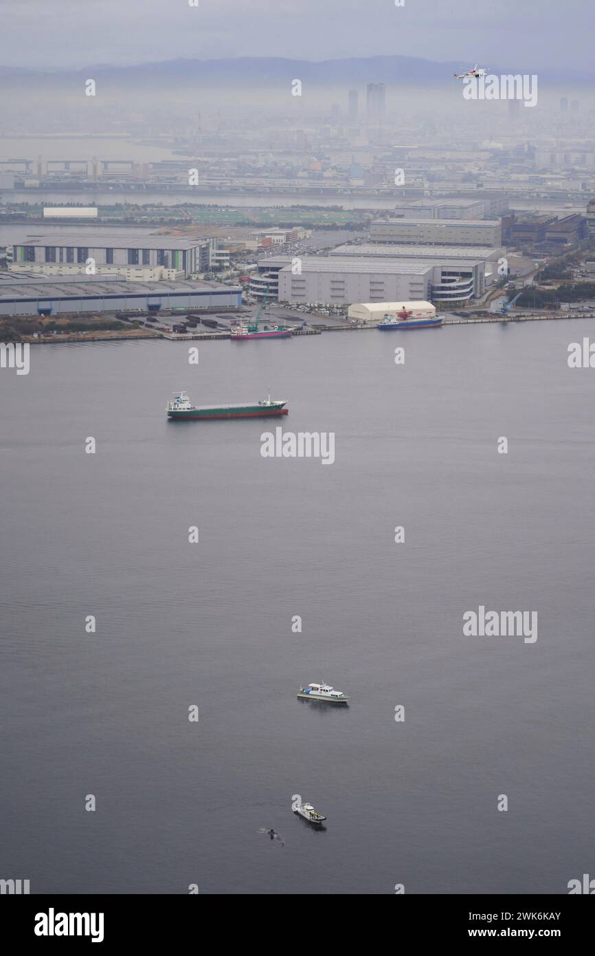 An aerial photo shows a sperm whale (cachalot / Physeter macrocephalus ...