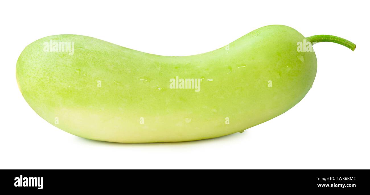 Wax Gourd Chinese Word at Lynda Tawney blog