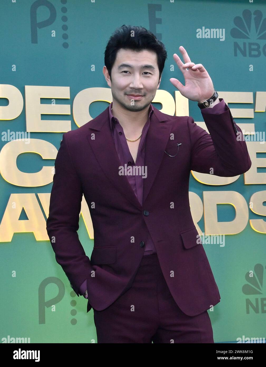 Los Angeles, United States. 18th Feb, 2024. Simu Liu attends the People ...