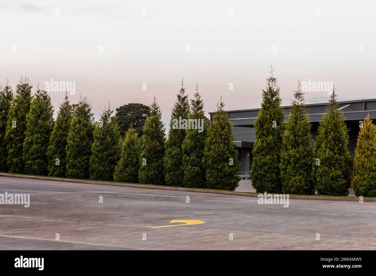 Open parking lot area near a building, delineated by a line of trees ...