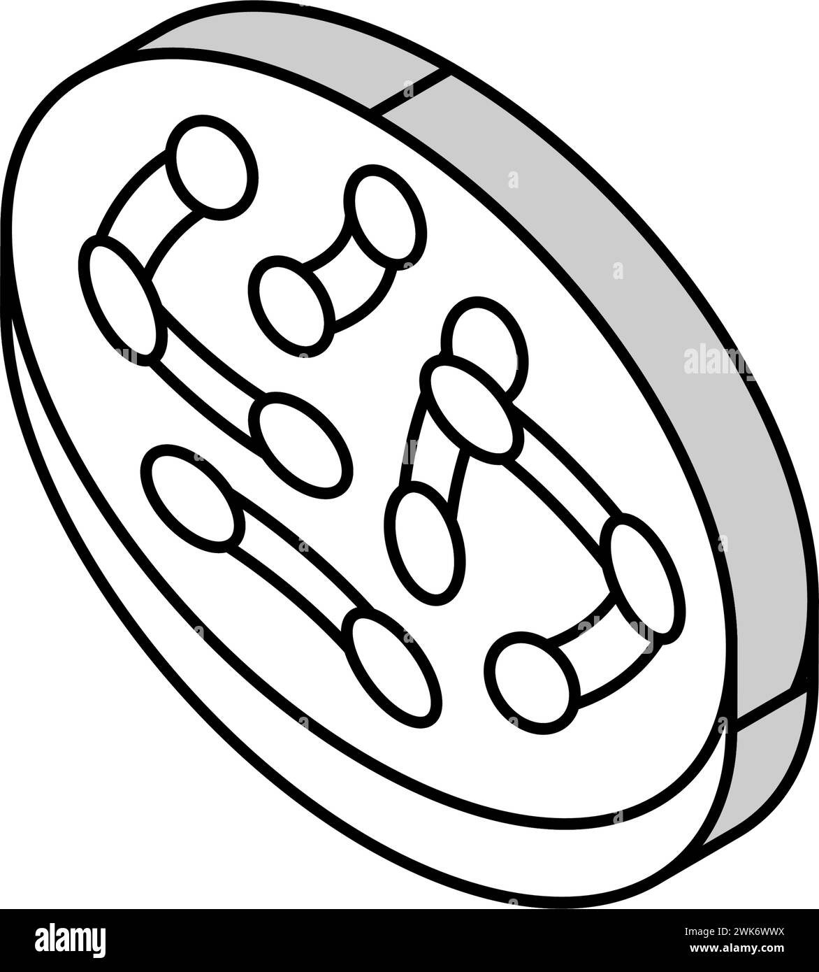 bacteria corynebacterium diphtheriae isometric icon vector illustration ...
