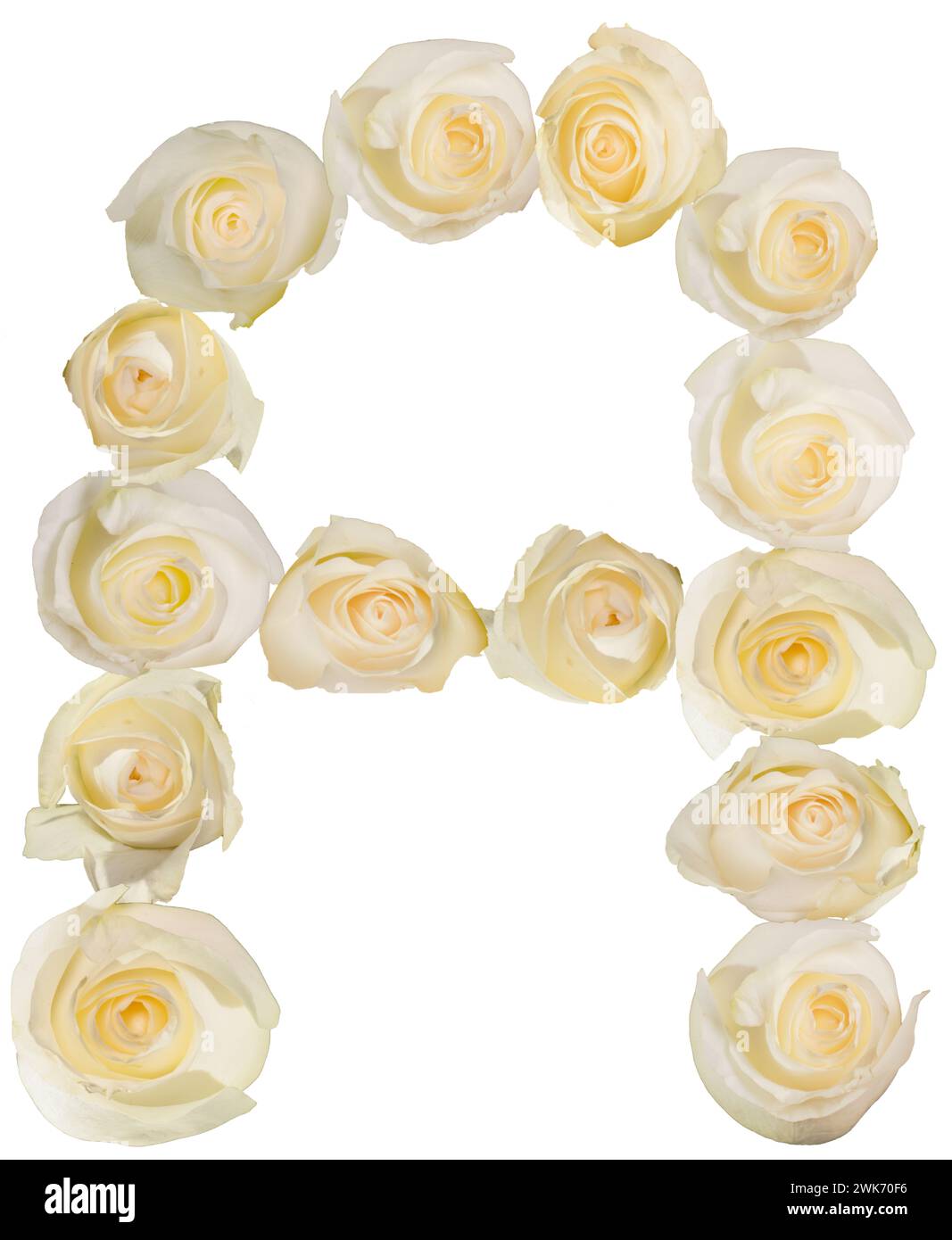 White roses employed to spelt letter A creating interesting and ...