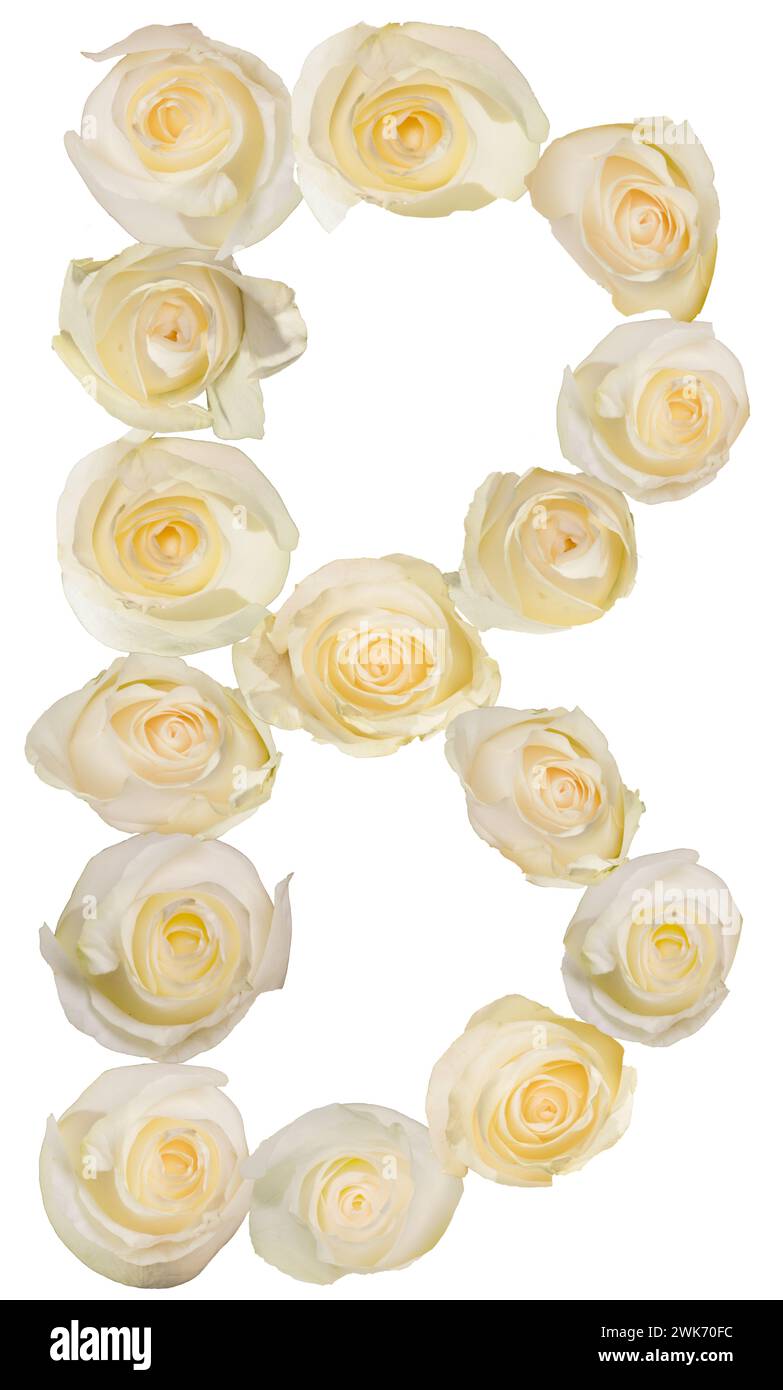 White roses employed to spelt letter B creating interesting and ...