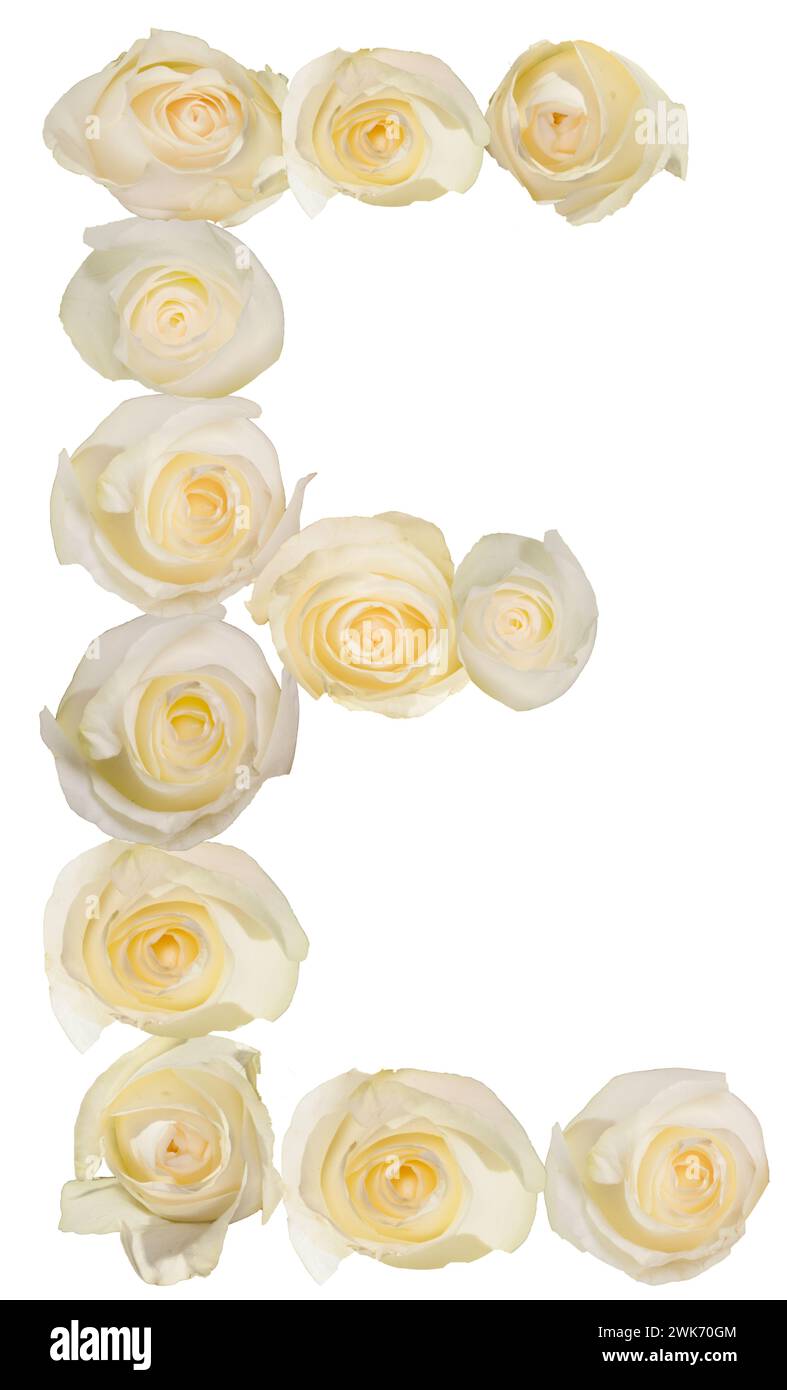 White roses employed to spelt letter E creating interesting and ...