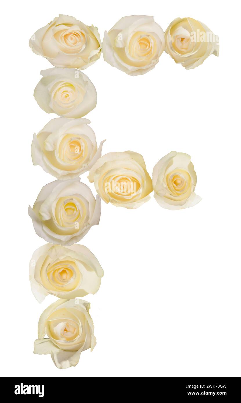 White roses employed to spelt letter F creating interesting and aesthetic letter. Draws ...