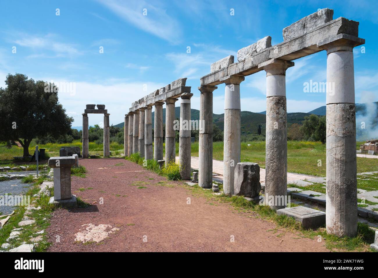 Ruins of ancient tall columns stretching along a path under a clear ...