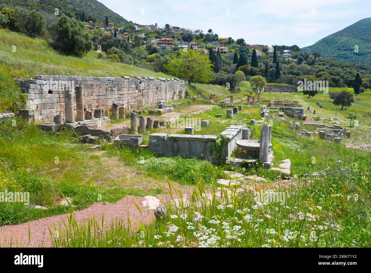 Extensive archaeological ruins with scattered columns and lush ...