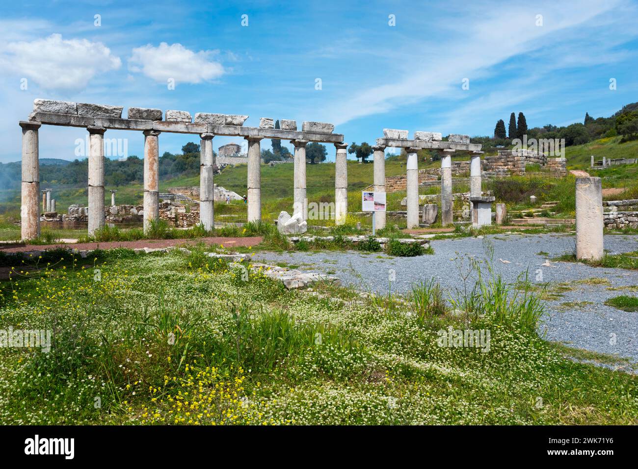 Ancient column ruins surrounded by wild flowers under a blue sky ...