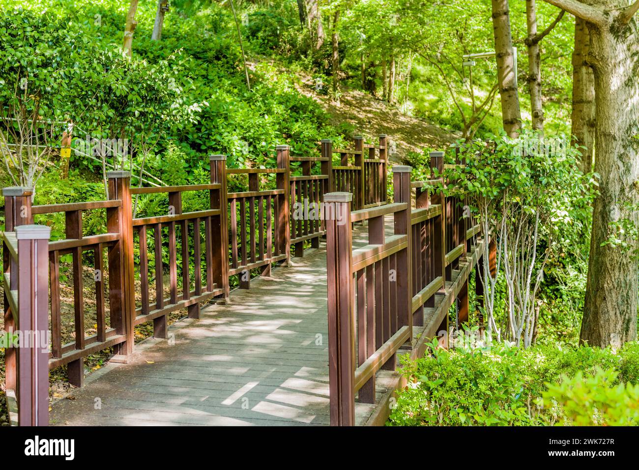 Wooden footbridge in lush urban park in Mokpo, South Korea Stock Photo ...