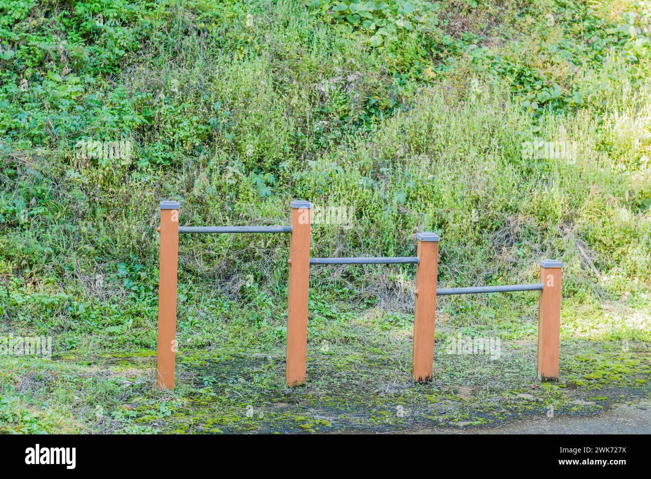 Old exercise bars in urban nature park in South Korea Stock Photo - Alamy