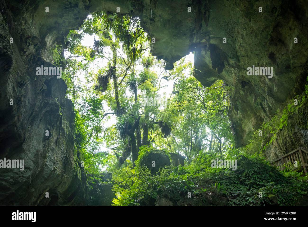 "Natural Bridge" limestone arch over river, Mangapohue Natural Bridge ...