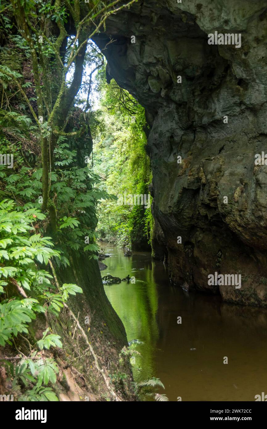 Karst landscape new zealand hi-res stock photography and images - Alamy