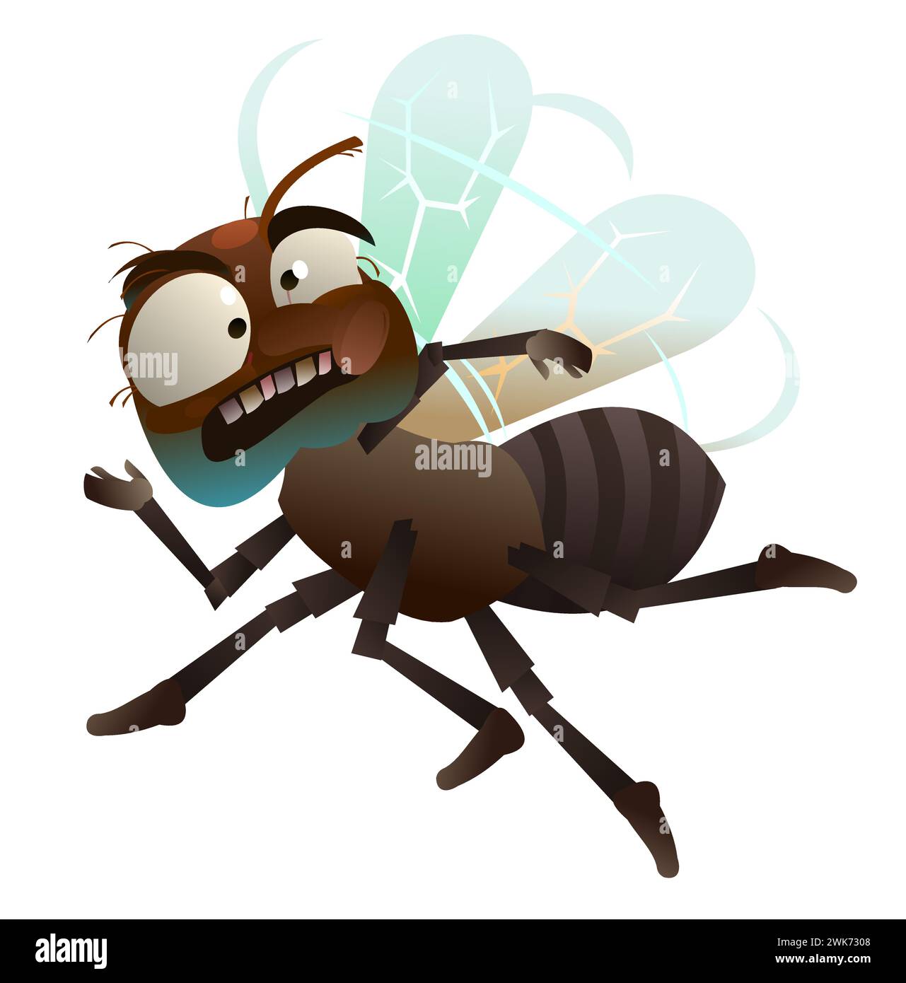 Nasty fly. Dirty insect. Animal parasite. Object isolated on white ...