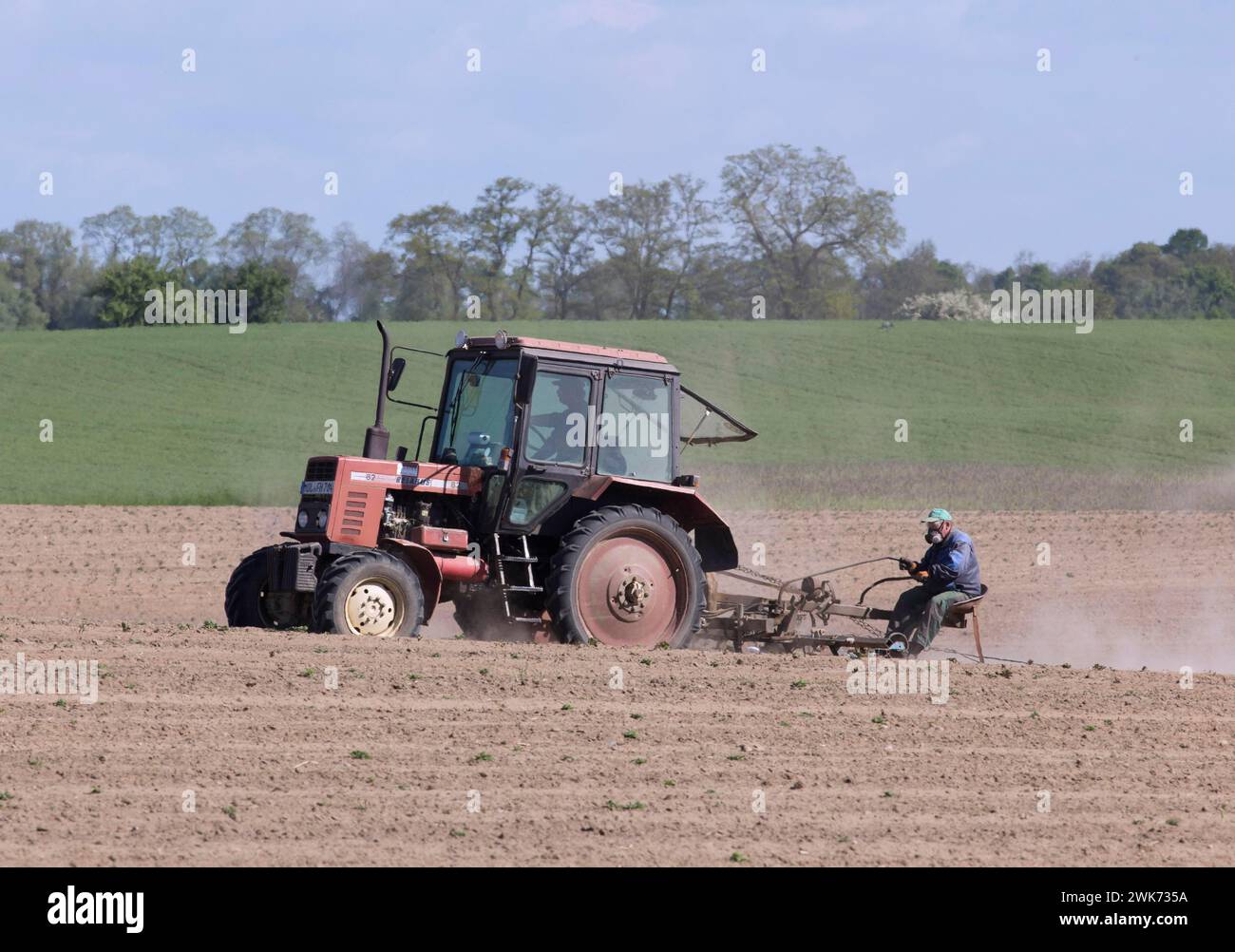 Tractor dragging a plume of dust behind it while working a potato field ...