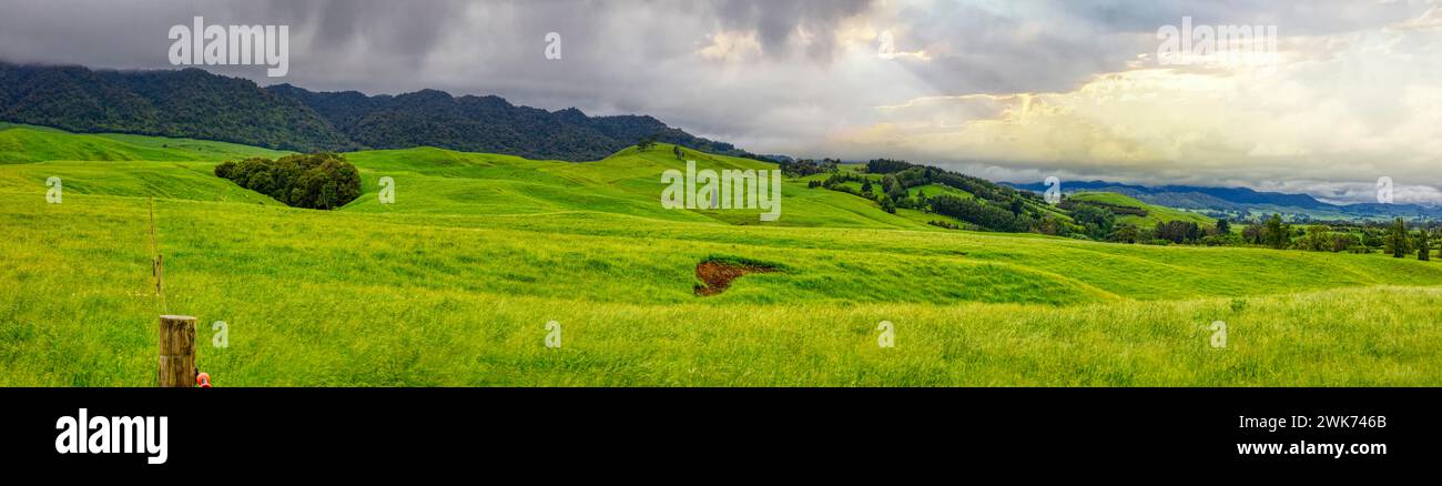 Okoroire hi-res stock photography and images - Alamy