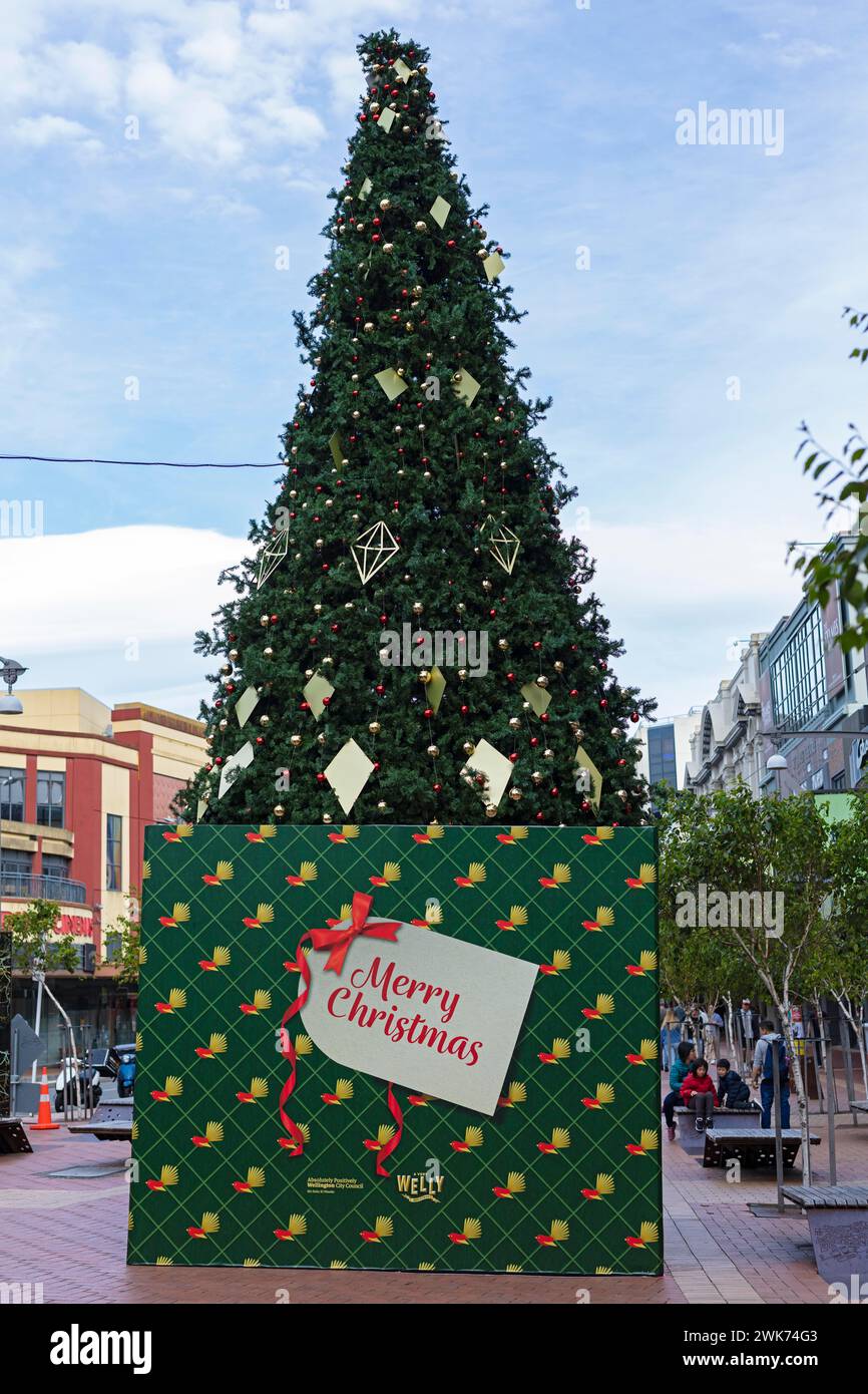 New zealand conifer tree hi-res stock photography and images - Alamy