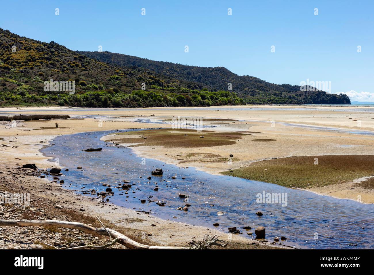 Tinline Bay, Beach, Kaiteriteri, New Zealand Stock Photo - Alamy