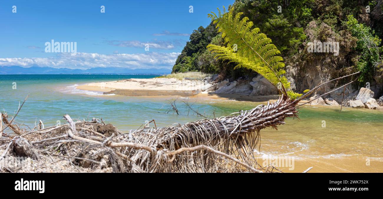 Abel Tasman Coast Track, Apple Tree Bay, Beach, Kaiteriteri, New ...