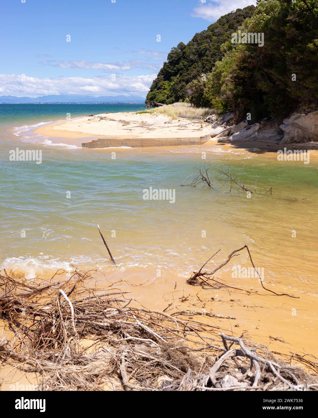 Beach apple tree hi-res stock photography and images - Alamy