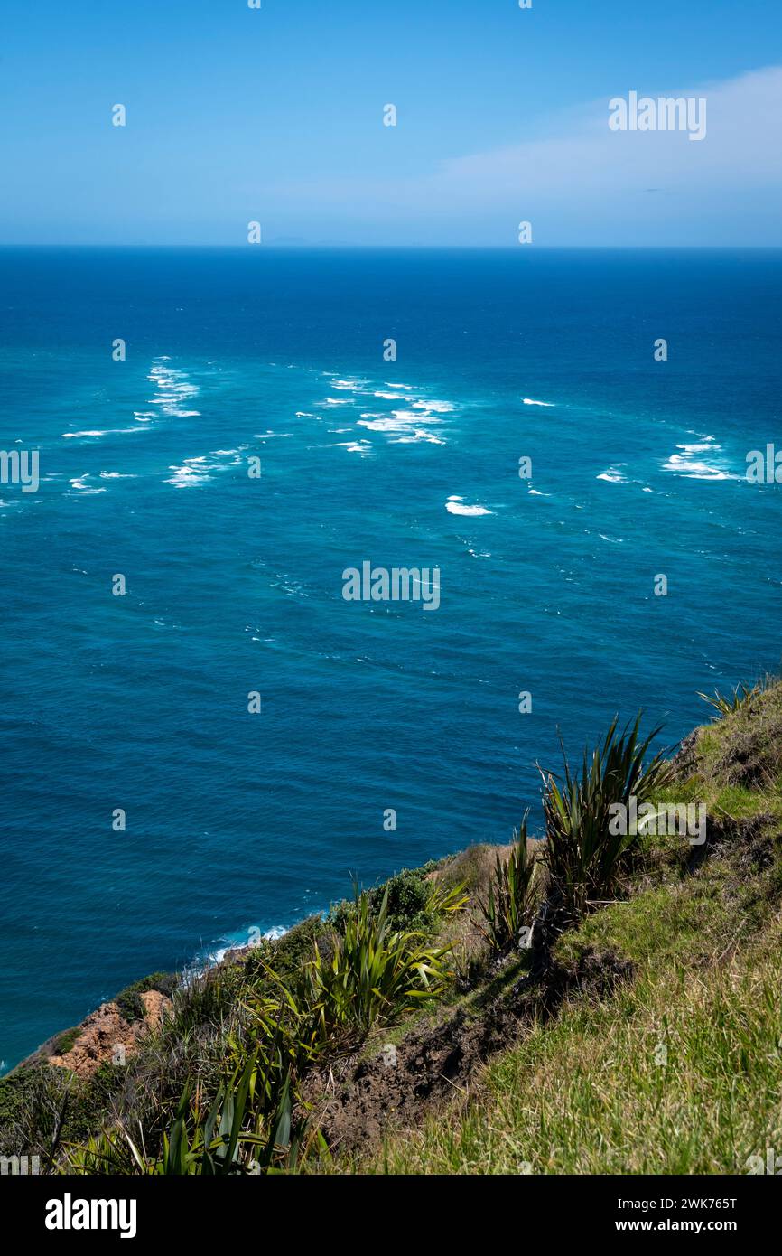 Meeting of the Tasman Sea, on the left, and the Pacific Ocean, on the ...