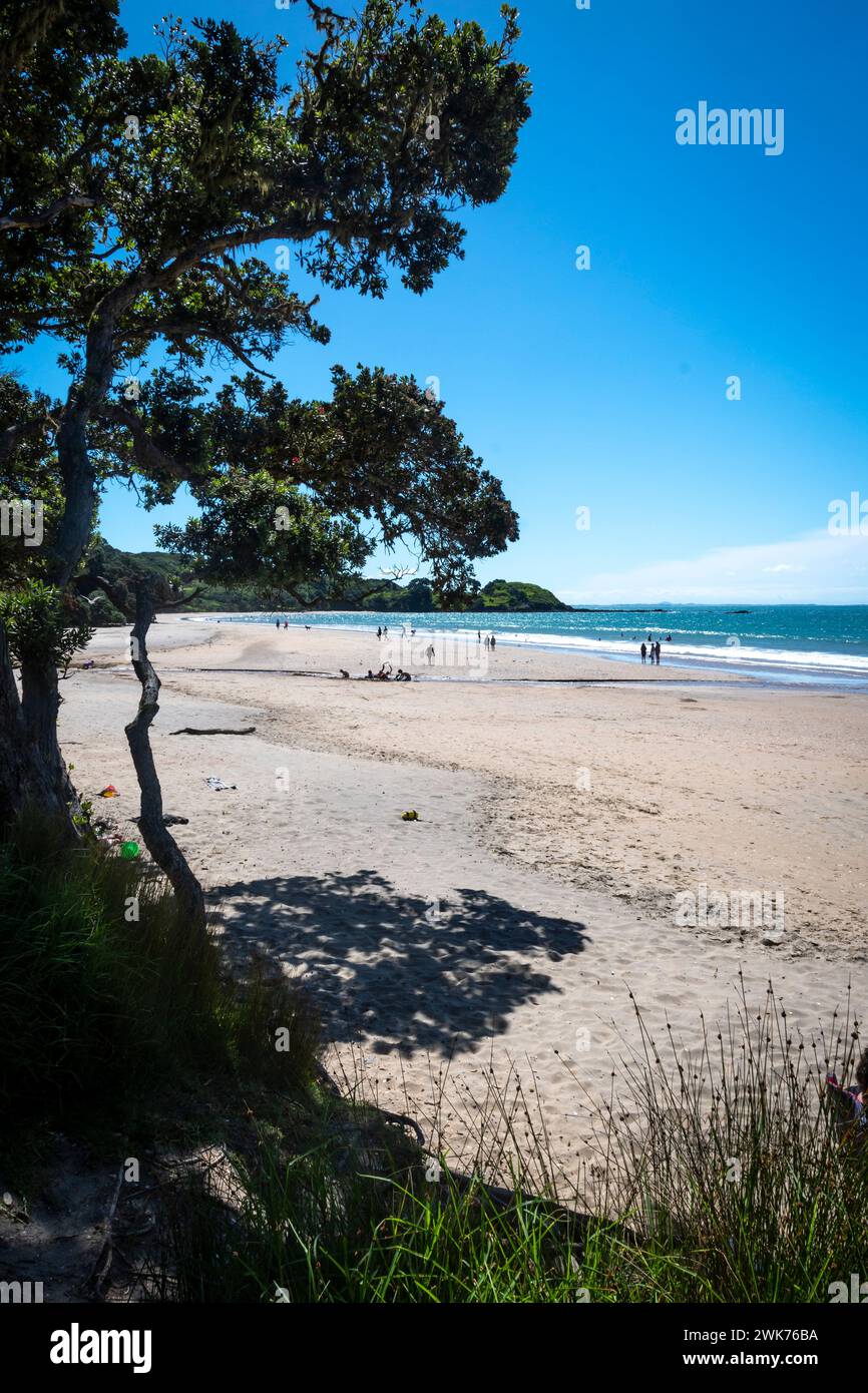 Coopers Beach, Doubtless Bay, Northland, North Island, New Zealand ...