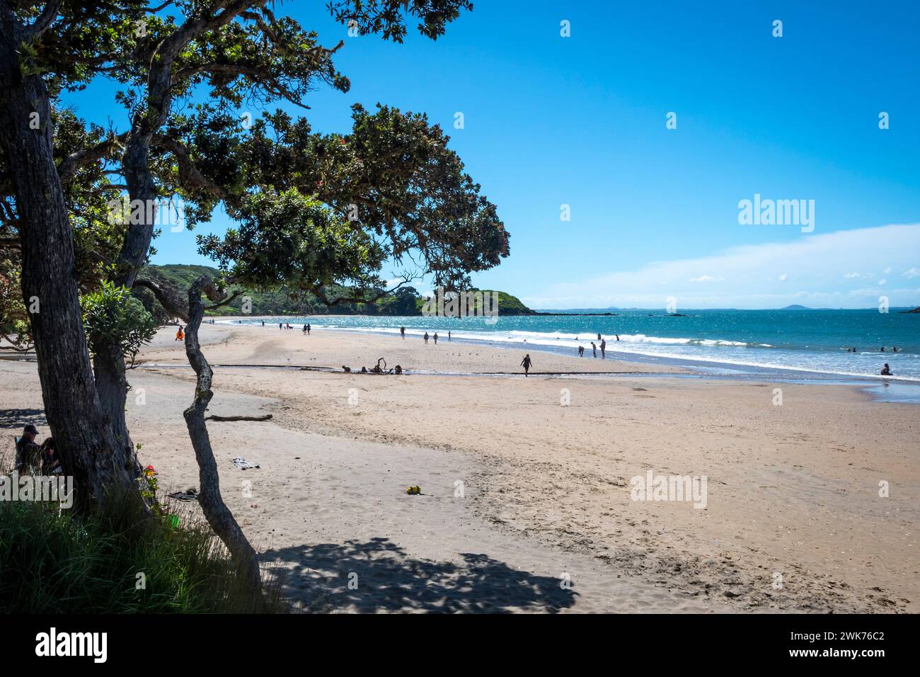 Coopers Beach, Doubtless Bay, Northland, North Island, New Zealand ...