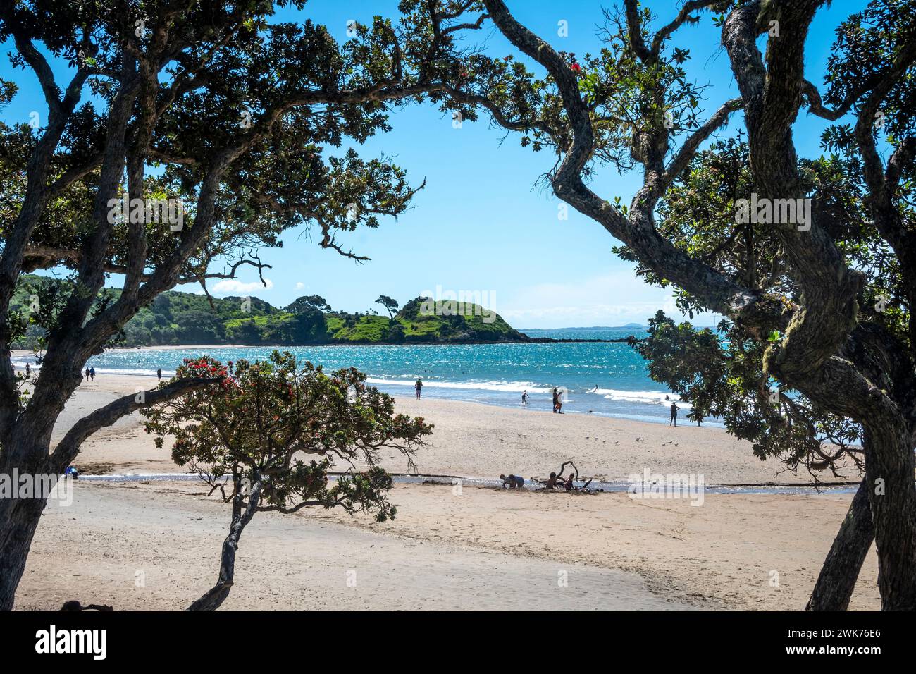 Coopers Beach, Doubtless Bay, Northland, North Island, New Zealand ...