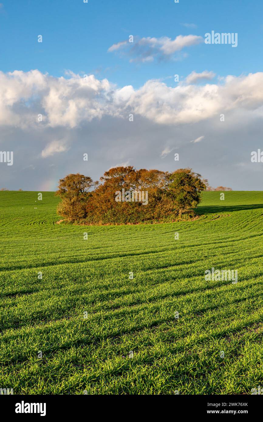 A view over countryside in Sussex, with a blue sky overhead Stock Photo ...
