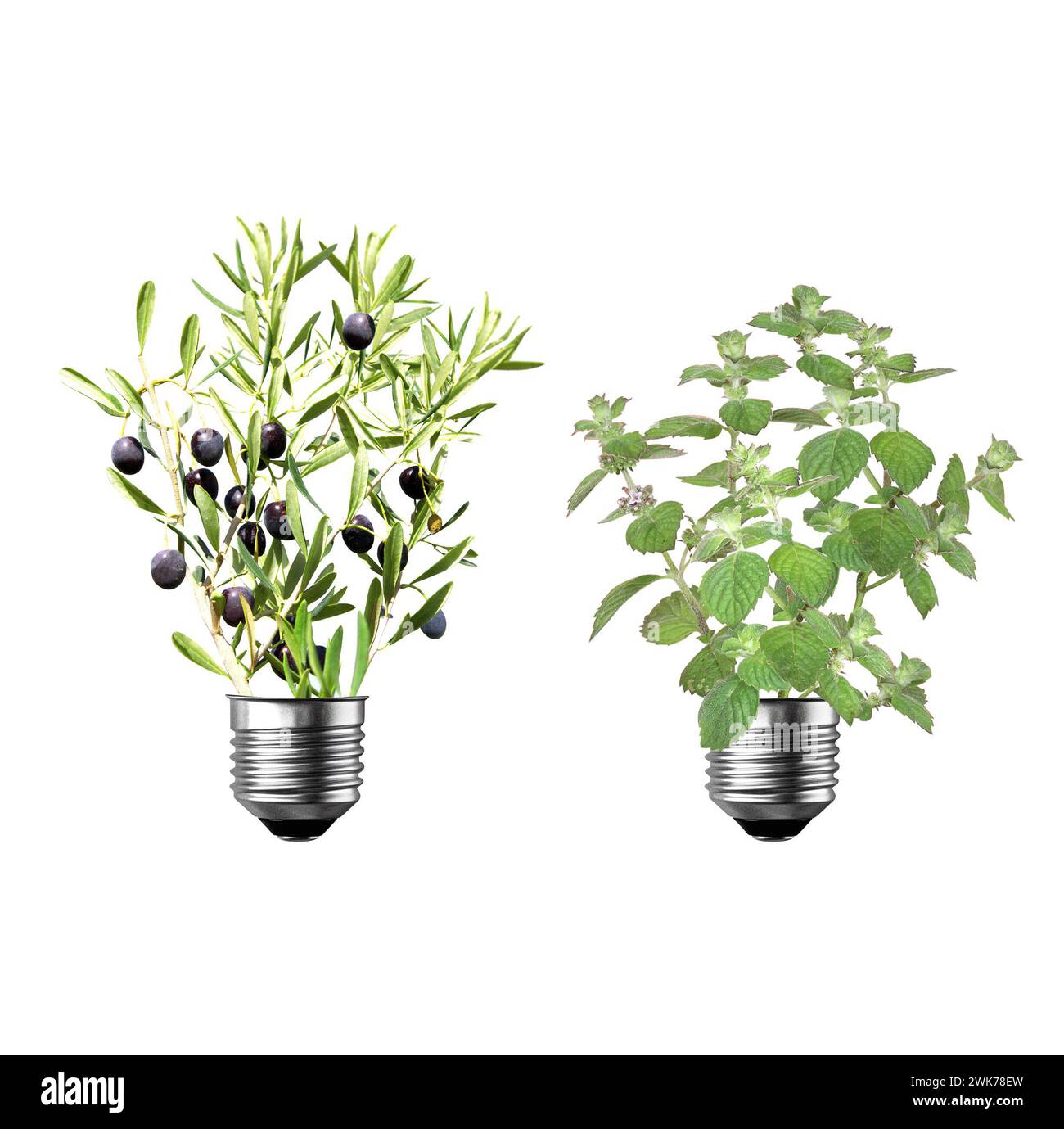 Life saving solution hi-res stock photography and images - Alamy