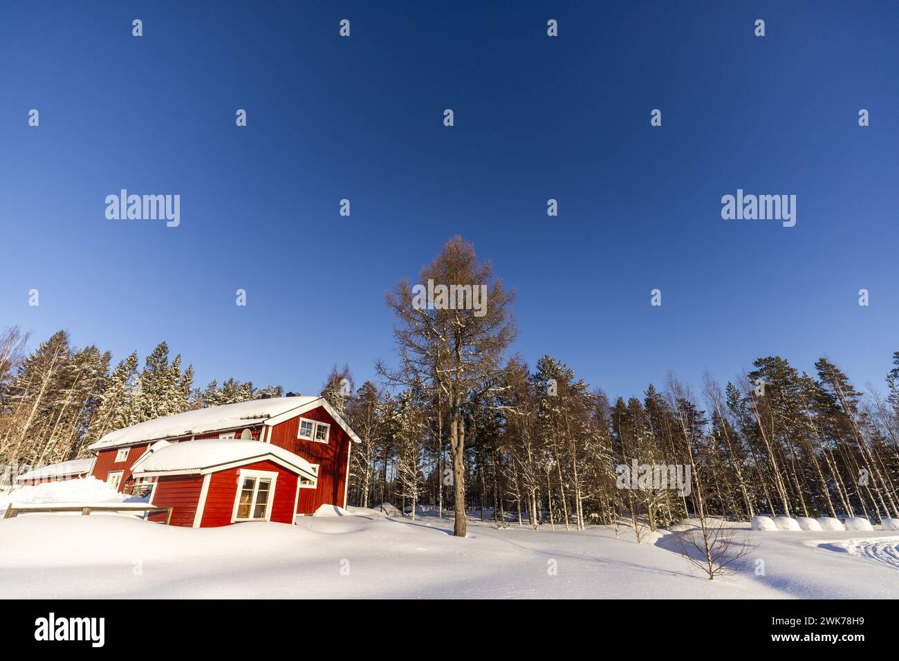 ambiance during the Rally Sweden 2024, 2nd round of the 2024 WRC World ...