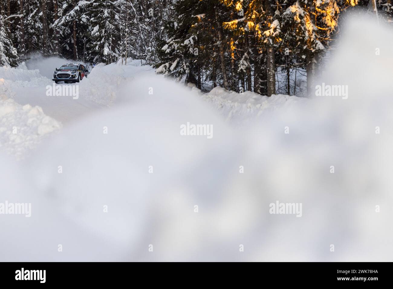 13 MUNSTER Gregoire, LOUKA Louis, Ford Puma Rally1, action during the ...