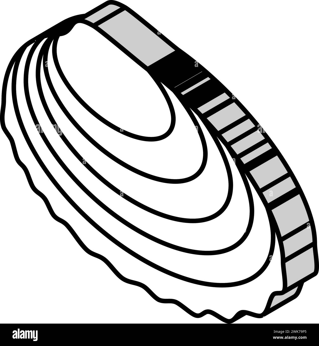 japanese cockle isometric icon vector illustration Stock Vector Image ...