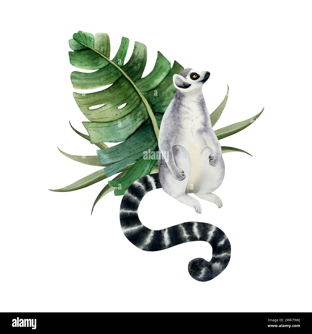 Tropical lemur monkey sitting in palm leaves and looking in the sky ...