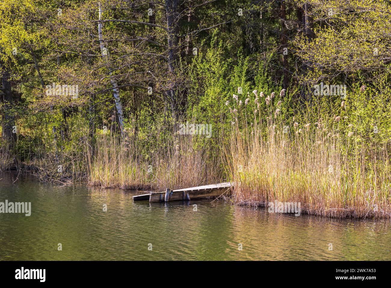 Jetty at a lakeshore hi-res stock photography and images - Alamy
