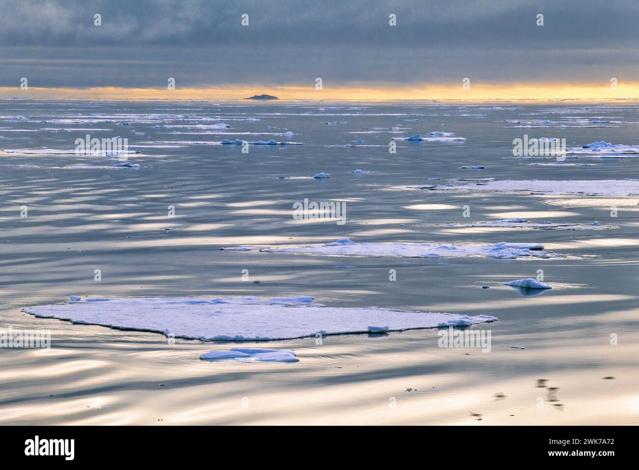 View of the Arctic Ocean with ice floes and the horizon Stock Photo - Alamy