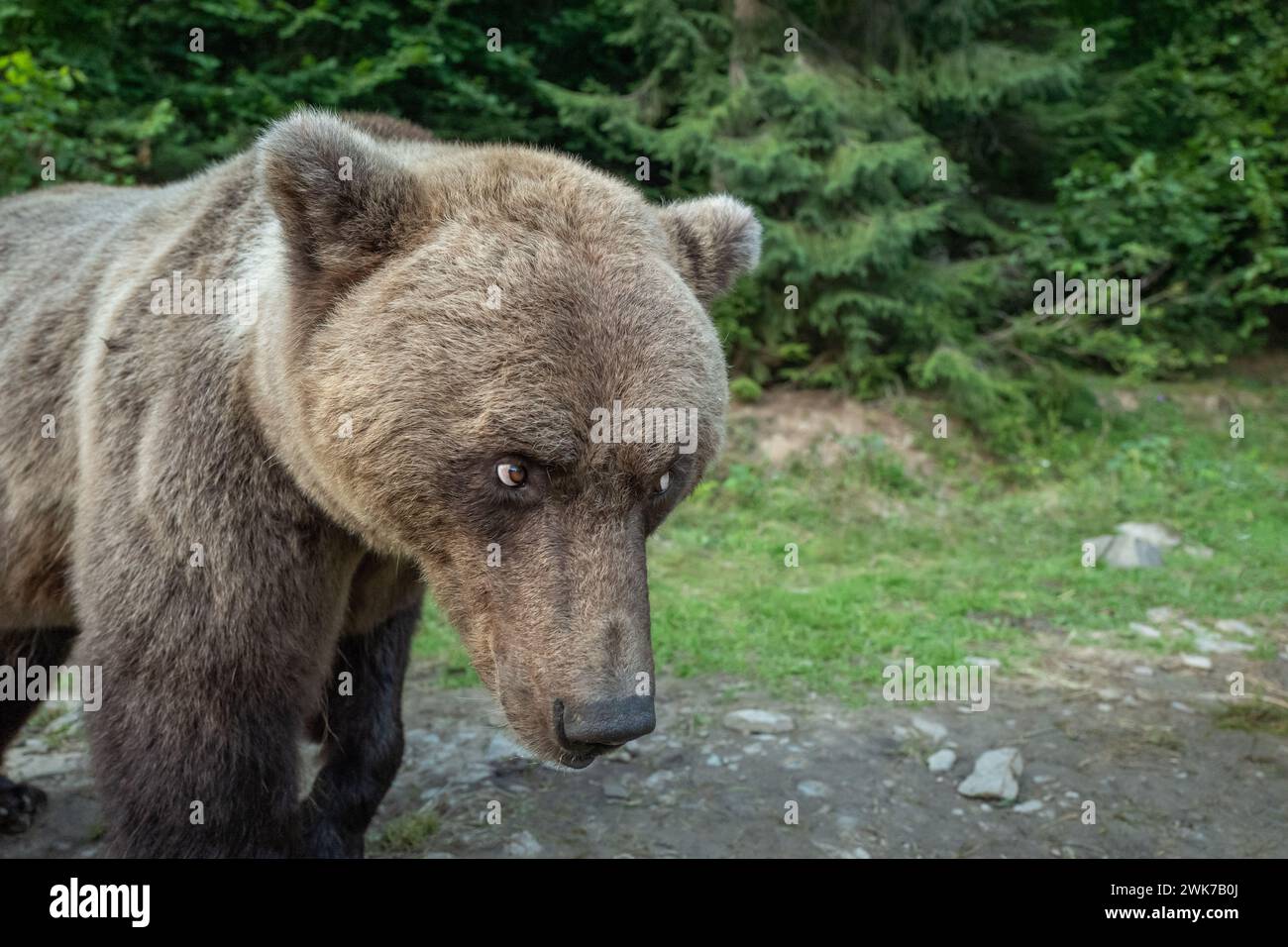 Wildlife unfriendly hi-res stock photography and images - Alamy