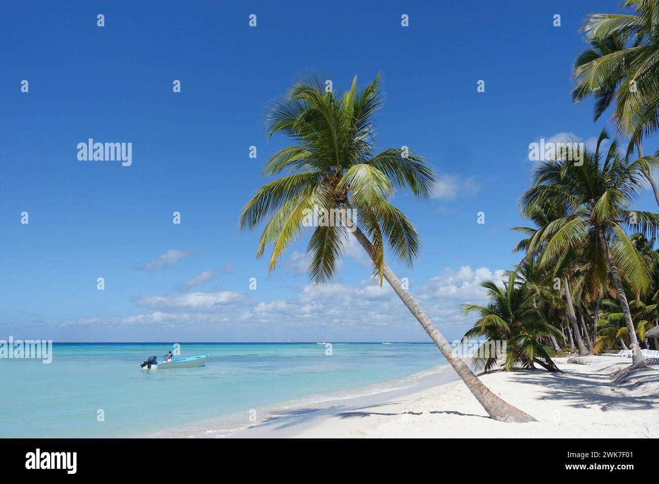 Tropical paradise beach with white sand and coco palms, travel tourism ...