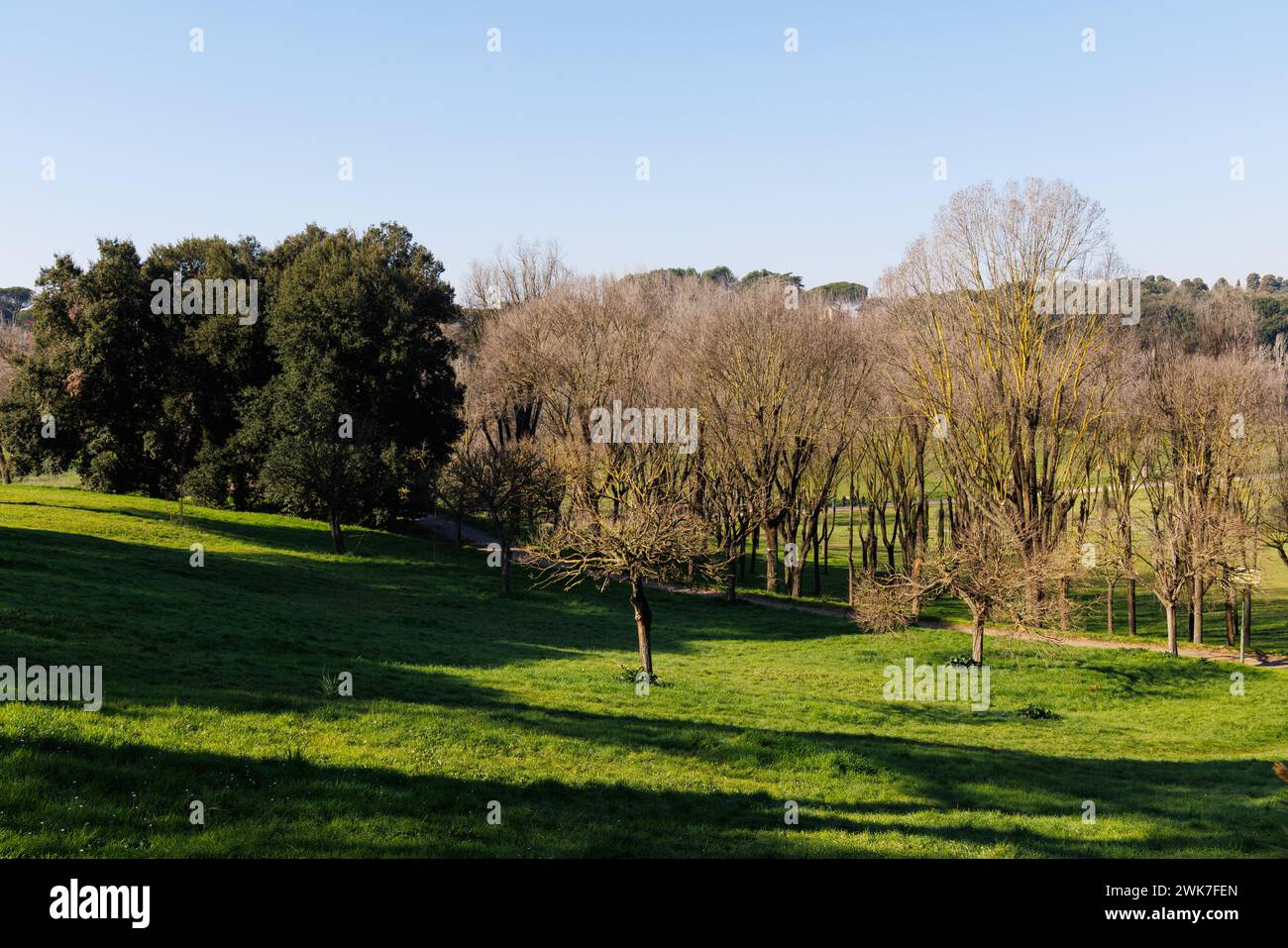 Nature in Villa Doria Pamphilj - Rome Stock Photo - Alamy
