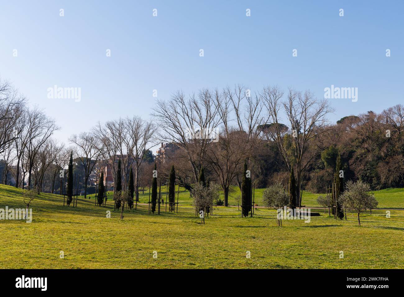 Nature in Villa Doria Pamphilj - Rome Stock Photo - Alamy