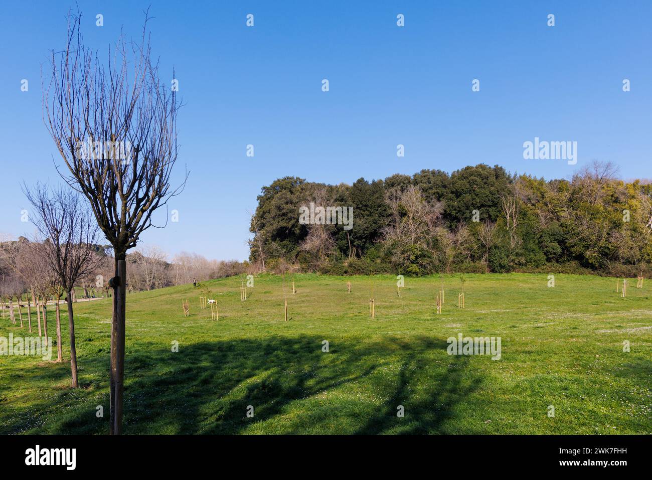 Nature in Villa Doria Pamphilj - Rome Stock Photo - Alamy