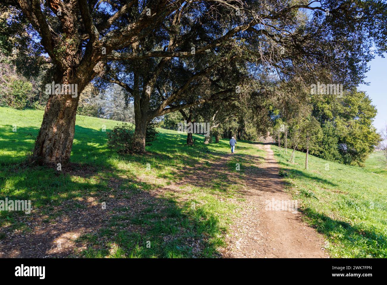 Nature in Villa Doria Pamphilj - Rome Stock Photo - Alamy