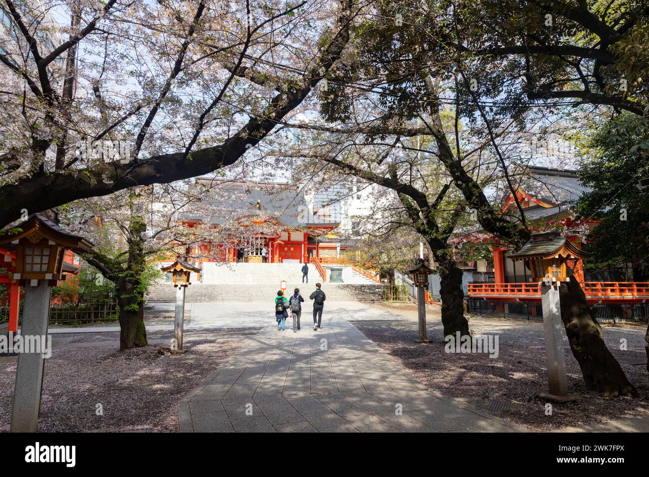 Hanazono shrine in Shinjuku Tokyo, April 2023 with cherry blossoms ...