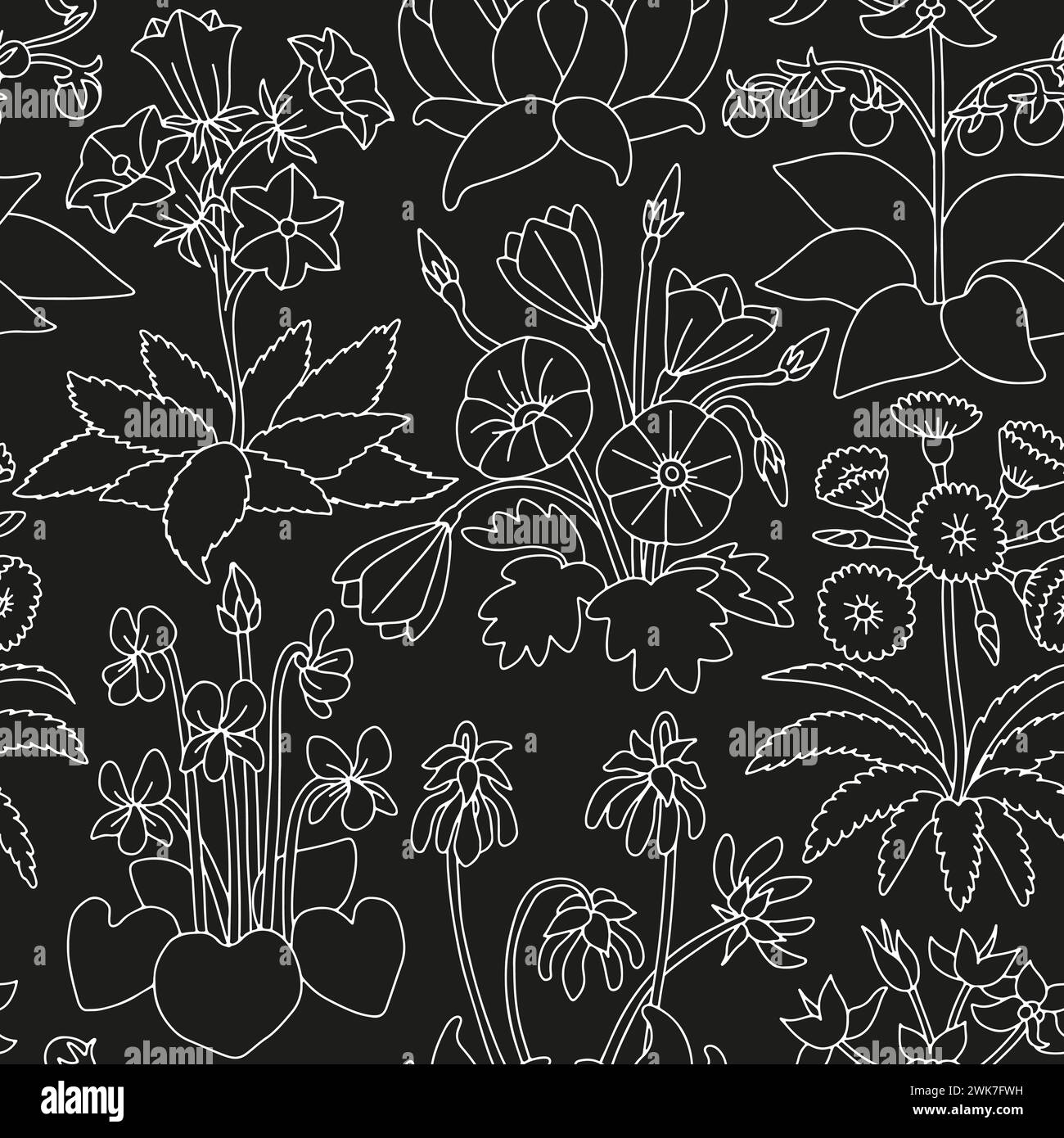 Black and white seamless pattern with canary islands flowers Stock ...