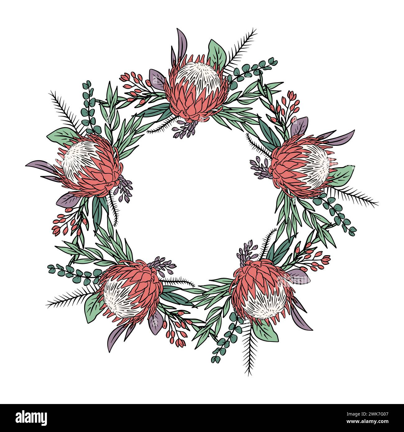 Hand drawn colorful line art tropical protea flower round frame Stock ...