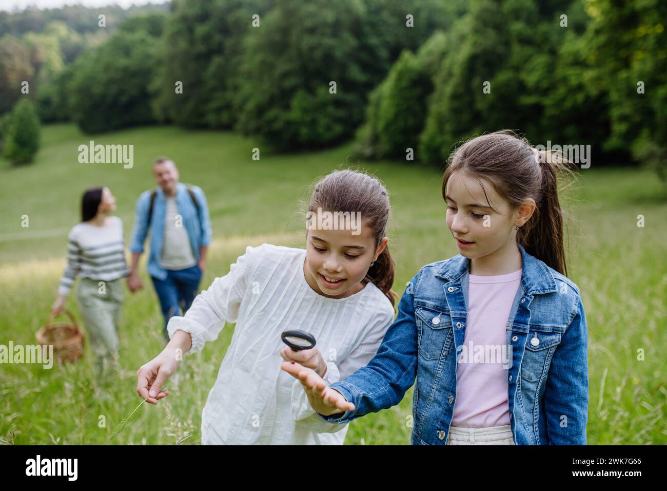 Sisters looking at ladybug, insect on meadow, using magnifying glass ...