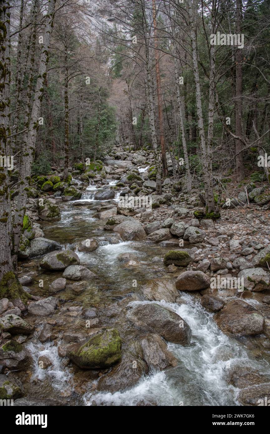 The Merced river flowing through the valley in Yosemite National Park ...