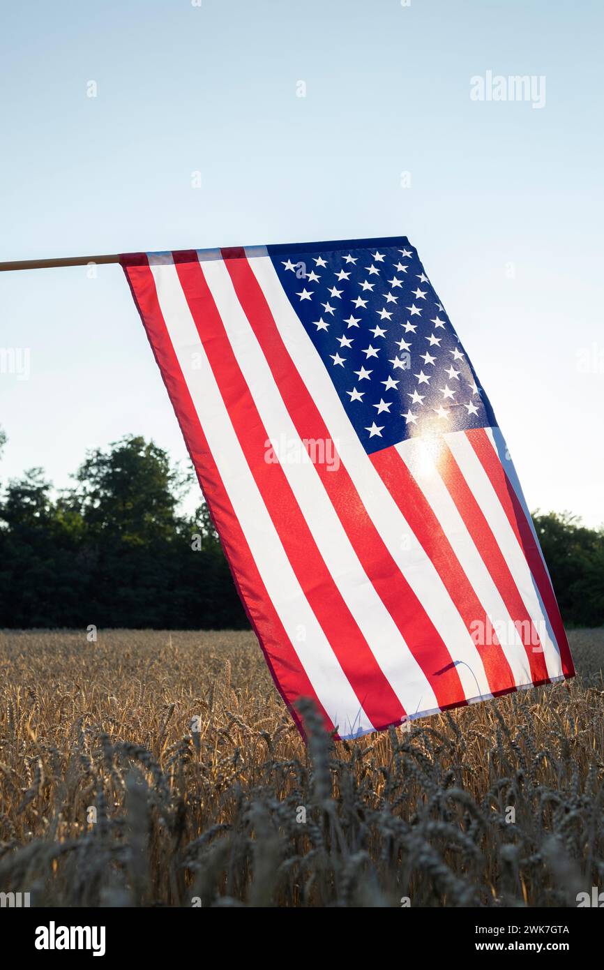 American flag field corn hi-res stock photography and images - Alamy